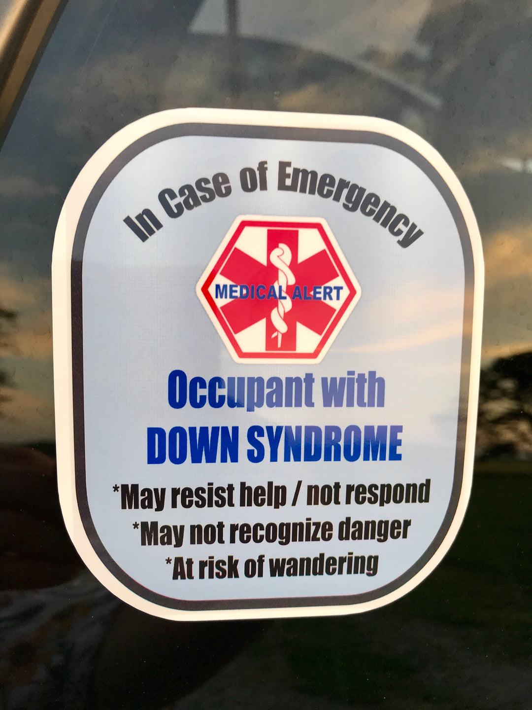 Down Syndrome Decal Medical Alert Safety Sticker – Safety Awareness ...